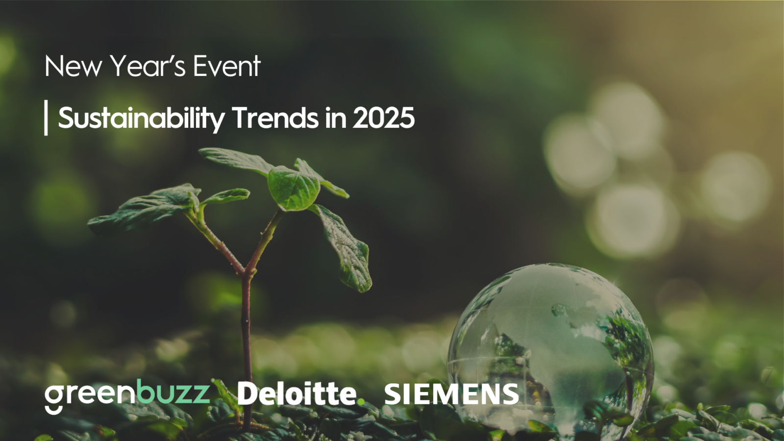 New Year's Event: Sustainability Trends in 2025